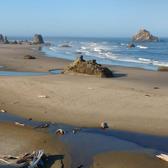 Oregon – Local Vyntage